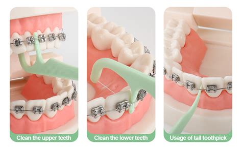500 Count Orthodontic Flossers For Braces With Floss Dispenser Braces Flossers For