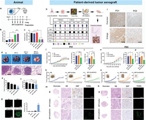 Identification Of Potent Sirna Delivery Peptides Using Computer Modeling Pmc