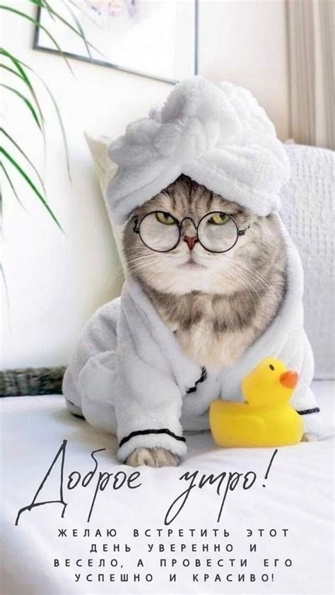 😃 С Добрым Утром Прикольные картинки 250 смешных позитивных открыток