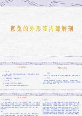 解剖PPT模板 解剖PPT模板下载 熊猫办公