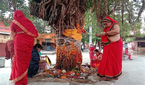 Vat Savitri Vrat 2023 वट सावित्री व्रत में क्यों की जाती है बरगद के