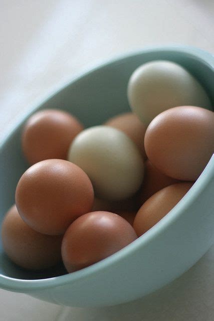 Do Your Eggs Taste Fishy It S The Curse Of The Omegas Artofit