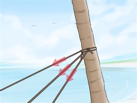 How To Remove A Palm Tree 8 Steps With Pictures WikiHow