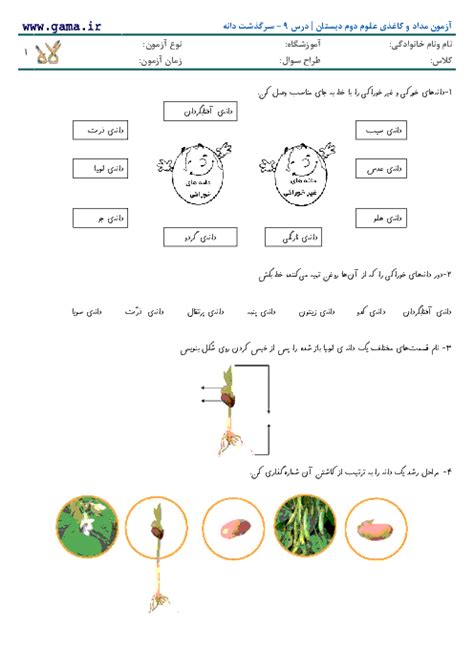 آزمون مداد کاغذی علوم دوم دبستان درس 9 سرگذشت دانه گاما