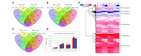 Venn Diagram And Cluster Analysis Of Differentially Expressed Genes Download Scientific