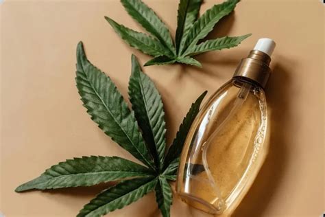 Ai Product Design To Elevate Your Designs Online Free Ai Ease