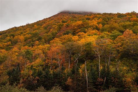 8 Best Things To Do In New Hampshire In Fall To See The Foliage