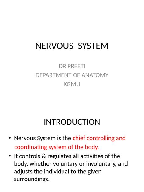 Nervous System 1 Pdf Nerve Nervous System