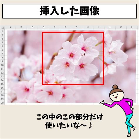 Excel エクセル で画像を挿入する方法