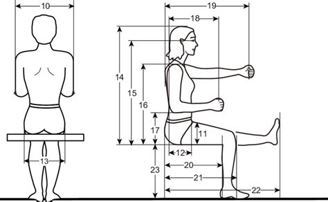 The Illustration Of The Corresponding Anthropometric Dimensions Download Scientific Diagram