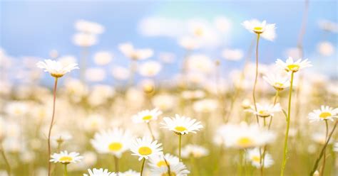 Гороскоп на 10 червня 2023 року для всіх знаків зодіаку Афіша Bigmir Net