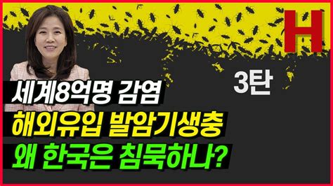 해외 여행 기생충 감염 해외 유입 기생충은 문제 없을까 시리즈3탄 총3회 Youtube