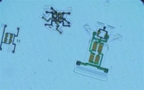 Miskin And Team Develop Microrobots For Nerve Repair Penn Center For Innovation Posted On The