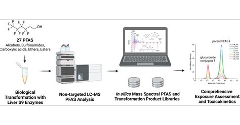 Expanding Pfas Identification With Transformation Product Libraries