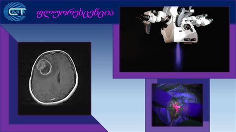 🏥 ️ აკად ფ თოდუას თოდუას კლინიკა • Todua Clinic