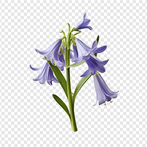 Колокольчик Png изолирован на прозрачном фоне Премиум Ai сгенерированный Psd