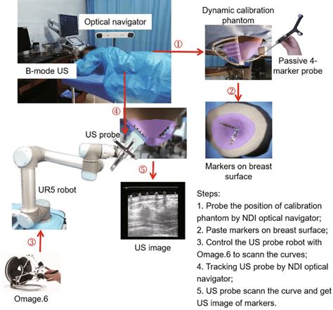 Procedure Of Dynamic Us Calibration Download Scientific Diagram