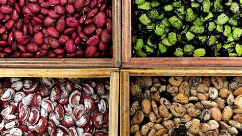 In The Face Of Extreme Weather Scientists Look To Adapt Crops