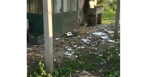 Сериозни щети след стихията в Монтана земеделската продукция е унищожена