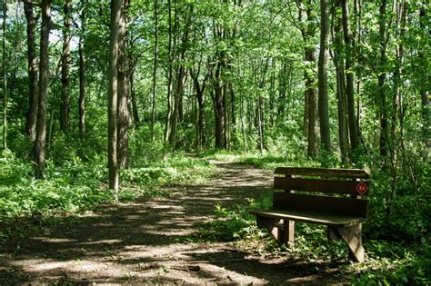 The Park Next Door Havenwoods State Forest Milwaukee Wi