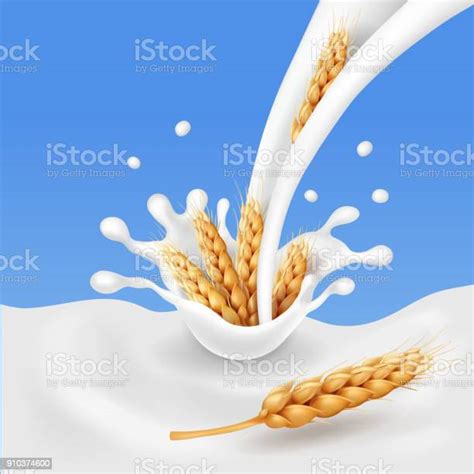 시리얼과 요구르트 밀 귀가 튀는 우유 현실적인 3 차원 벡터 귀리에 대한 스톡 벡터 아트 및 기타 이미지 귀리 우유 곡초류 Istock