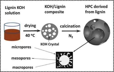 Schematic Diagram Of The Formation Process Of Lignin Hierarchical Download Scientific Diagram