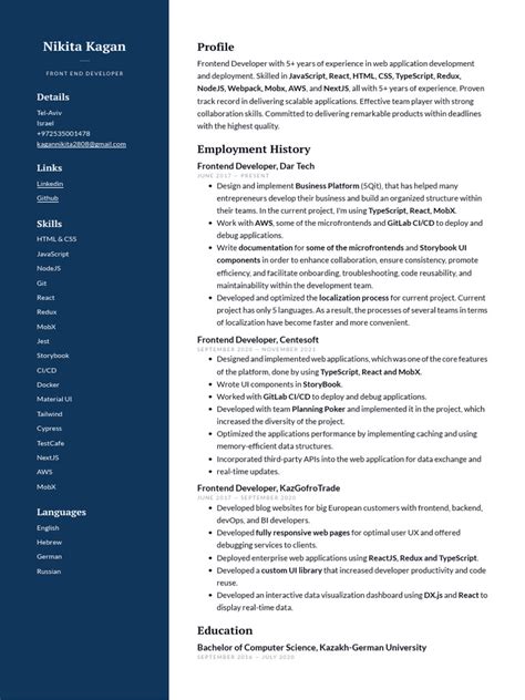 nikita kagan frontend cv pdf cyberspace software engineering