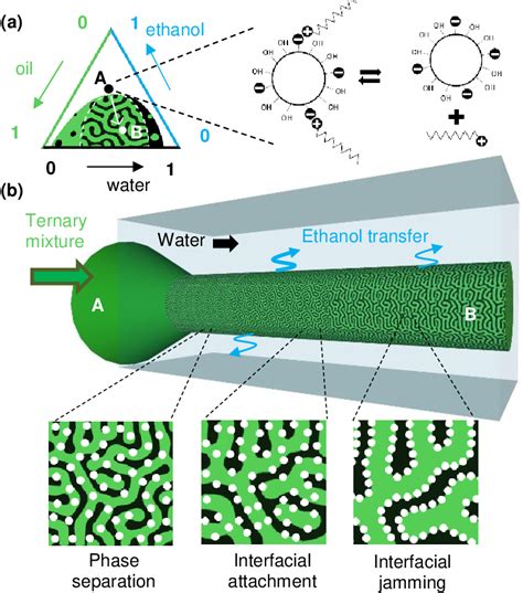 Figure 1 From Robust Bijels For Reactive Separation Via Silica