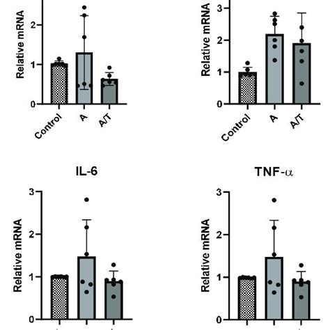 Gene Expression Of Inflammatory Cytokines Mcp 1 Il 1β Il 6 And Download Scientific Diagram