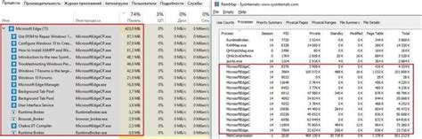 Rammap Process Private что значит