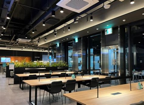 노벨라스튜디오 인턴 프론트엔드 개발자 채용 공고 원티드