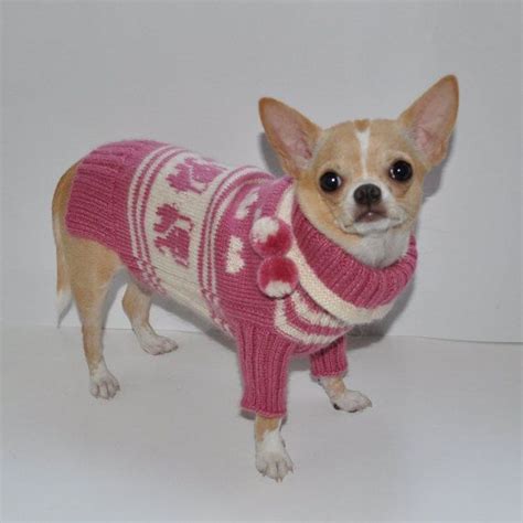 Свитер для чихуахуа - 80 фото