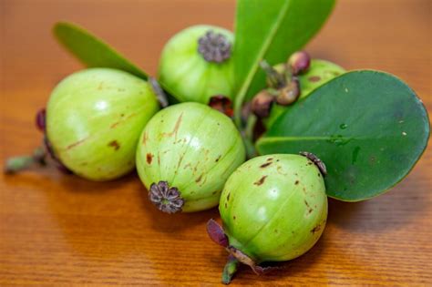 Редкий и экзотический тропический фрукт ботаническая идентификация не обнаружена плод похожий