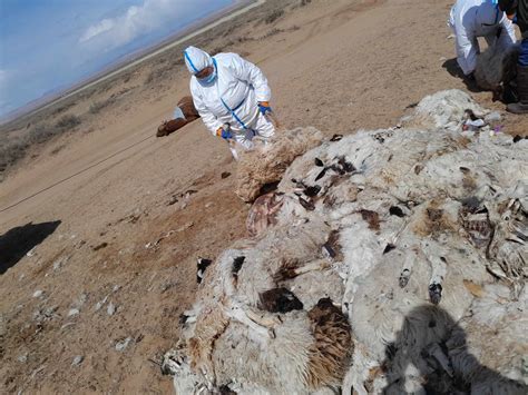 Булган аймгийн Байгаль орчны газар