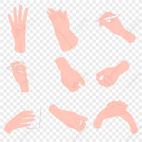 다양 한 제스처 클립 일러스트 아트손바닥손등 뒤로 Png 일러스트 무료 다운로드 Lovepik