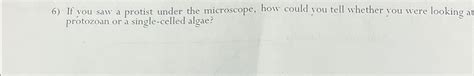 Solved If You Saw A Protist Under The Microscope How Could
