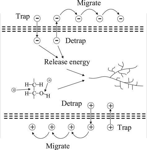 Schematic Of Space Charge Behaviour Download Scientific Diagram