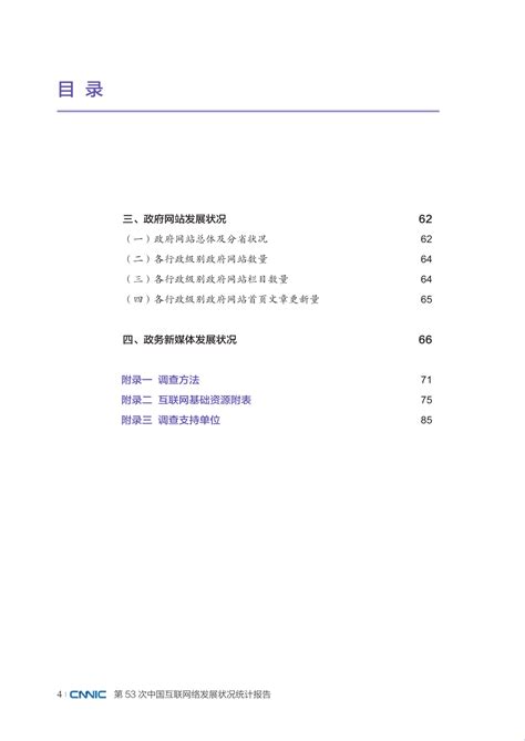 CNNIC第53次中国互联网络发展状况统计报告 互联网数据资讯网 199IT 中文互联网数据研究资讯中心 199IT