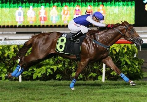 Raheeb Furthers Singapore Record Waikato Stud