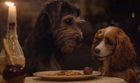 Does The Lady And The Tramp Remake Honor The Iconic Disney Classic