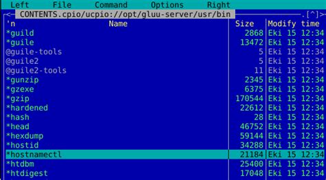 Httpd Init Service Failed On Gluu Server 4 3 0 Issue 764