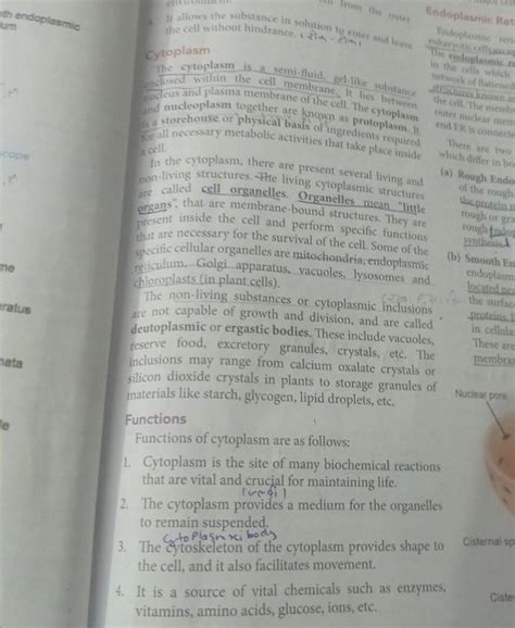 Cytoplasn The Cytoplasm Is A Semi Fluid Gel Like Substance Nucloseds And