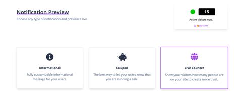 How To Put A Visitor Counter On Your Website Igniterfy