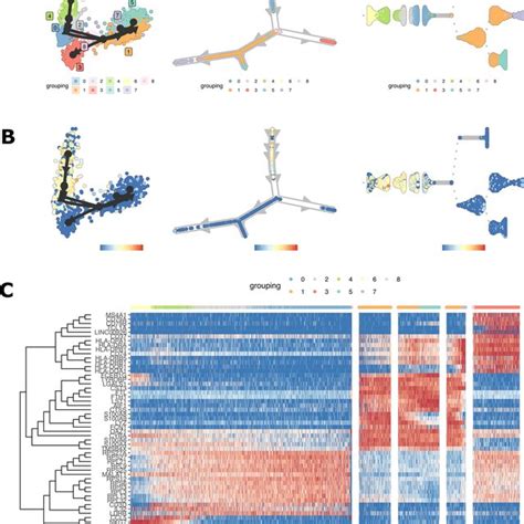 Asc Seurat Workflow Overview Asc Seurat Is Built On Three Analytical Download Scientific