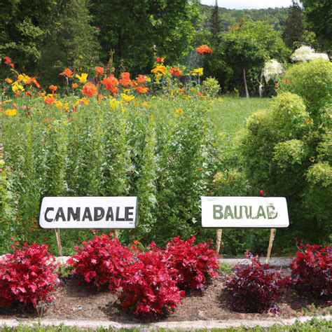 Arthrose Et Rhumatismes Découvrez La Solution Naturelle Qui Soulage