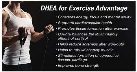 Dhea Exercise Results Dhea Twist 25