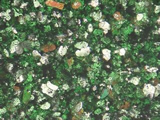 Light Microscope Optical Microscopes Microscope Glossary KEYENCE International Belgium