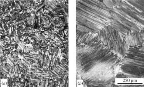 Polarized Light Micrographs Of Ti455al2cr2nb With Lamellar