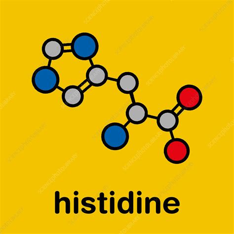 Histidine Amino Acid Molecule Illustration Stock Image F0278724