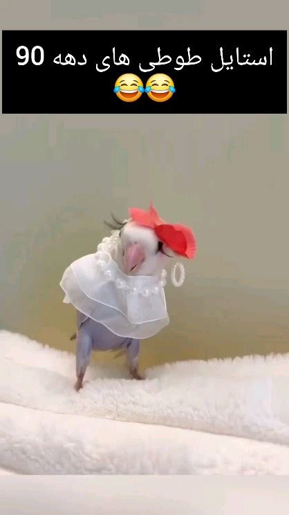 Hamid Latifi ‎استایلش چطوره؟😂 Totiparvarsh Totiparvarsh استایل